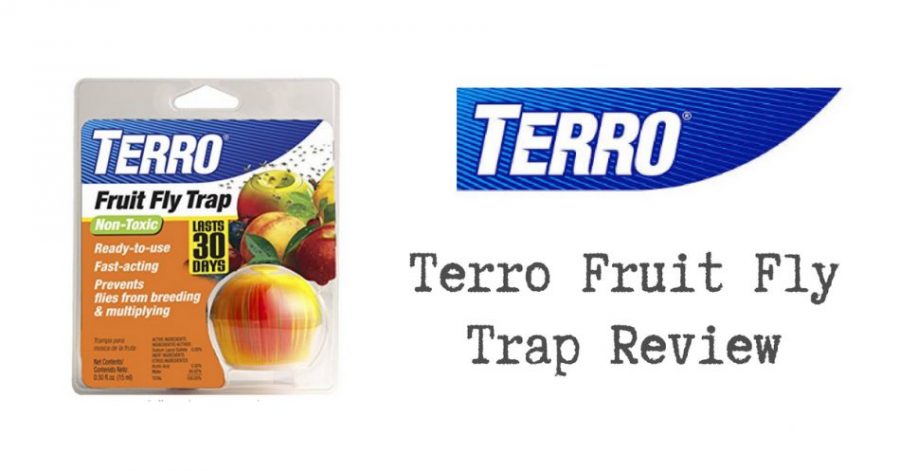 Terro Fruit Fly Trap Review - Pest Survival Guide
